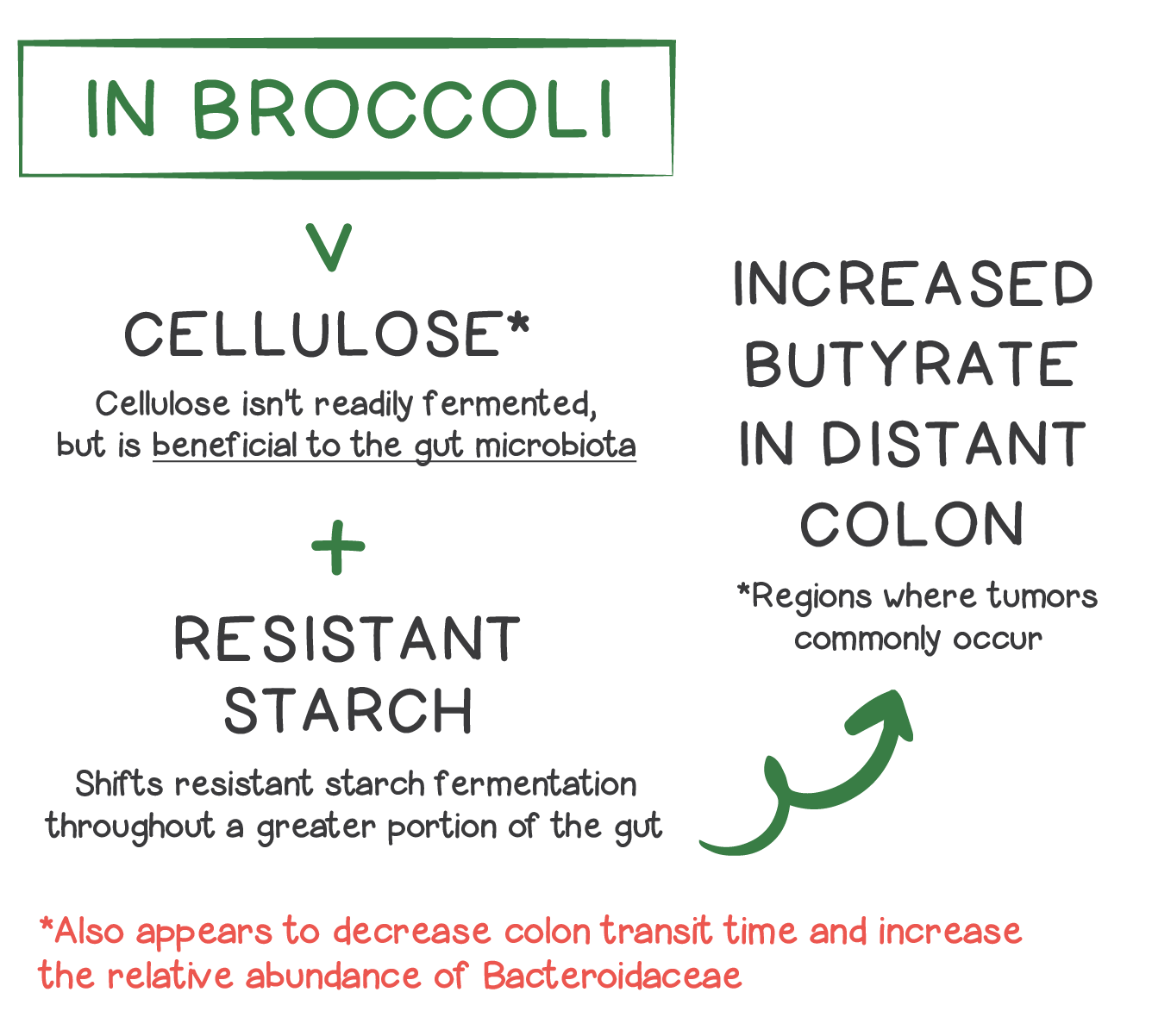 Health Benefits of Broccoli
