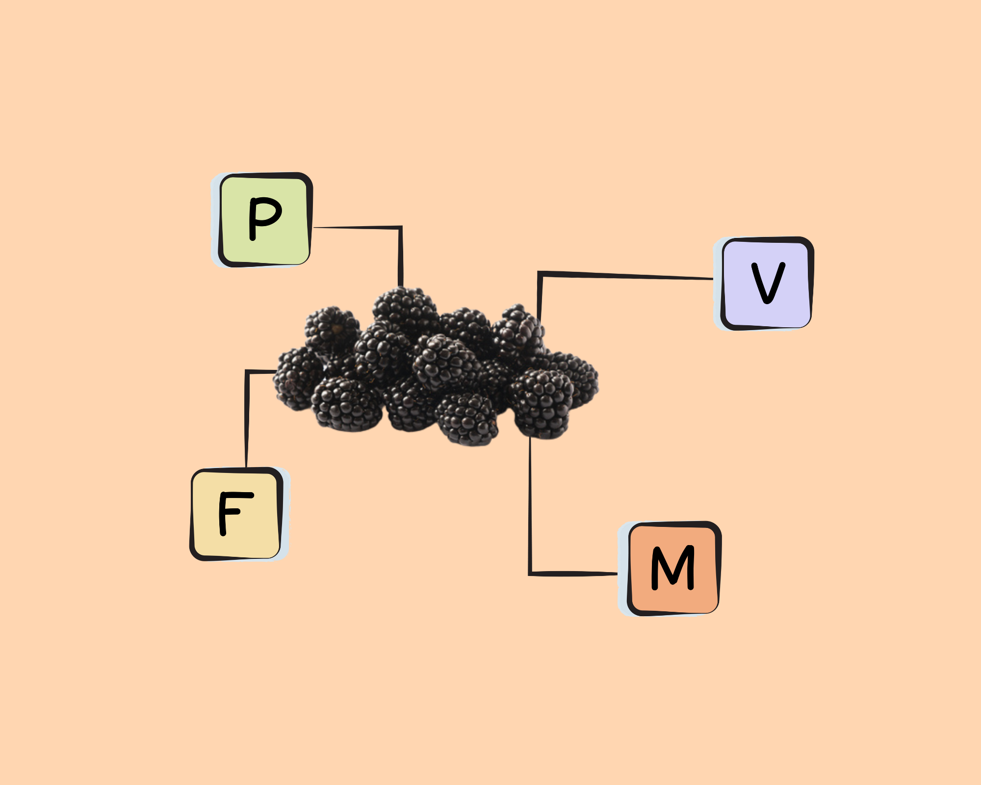 Blackberry Nutrients