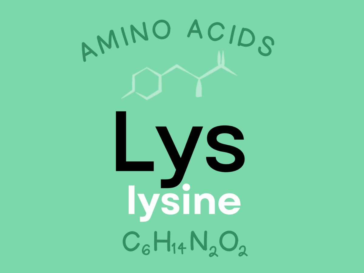 Protein, Peptides and Amino Acids