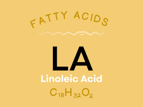 Lipids, Fats and Fatty Acids