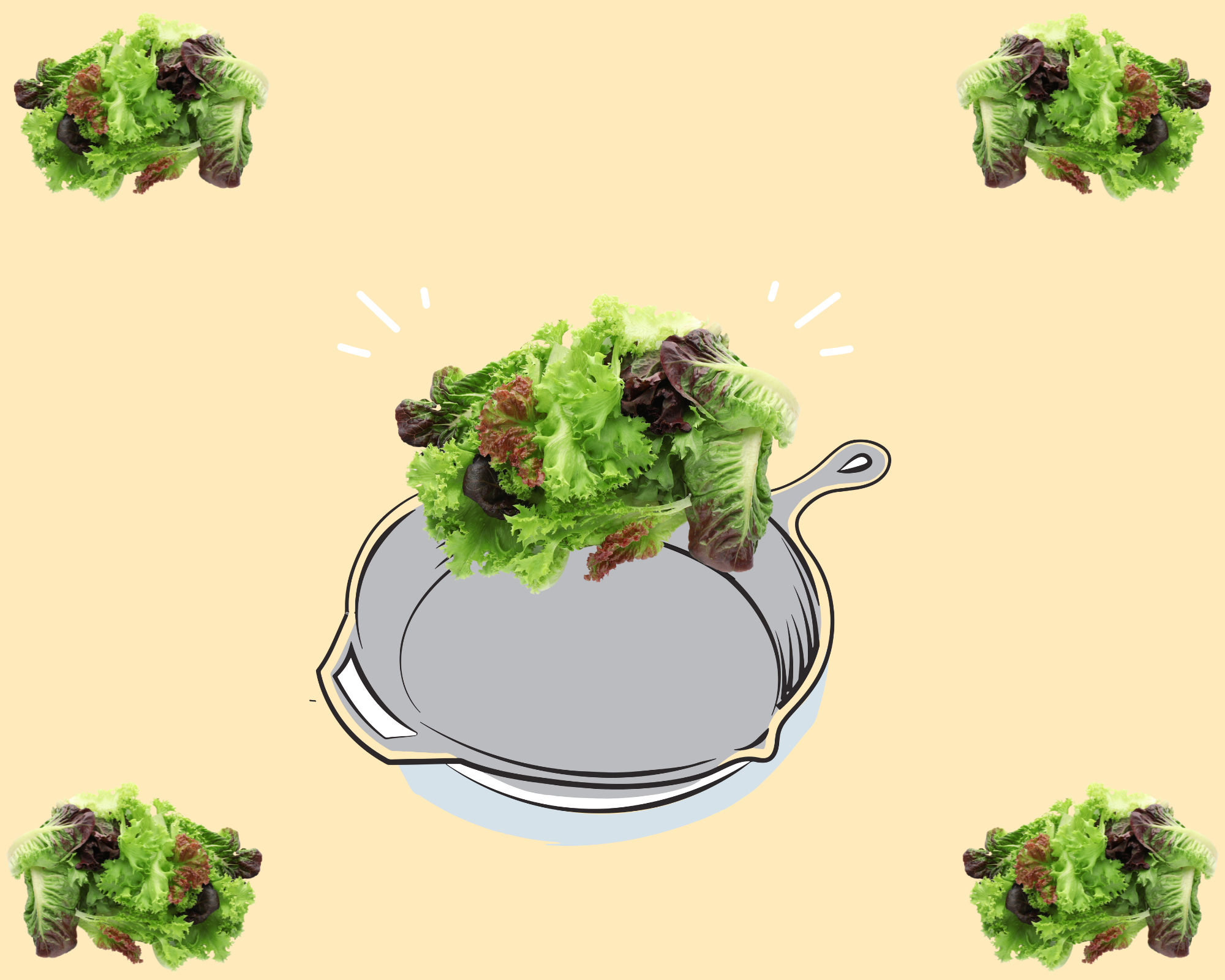 Lettuce in the Kitchen