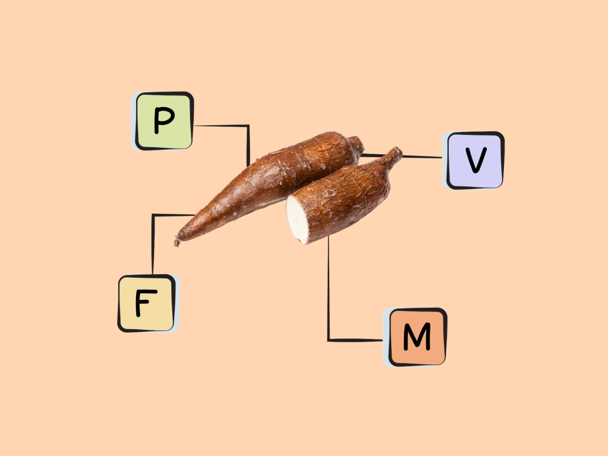 Cassava Flour Tortillas (Gluten-Free and Grain-Free)
