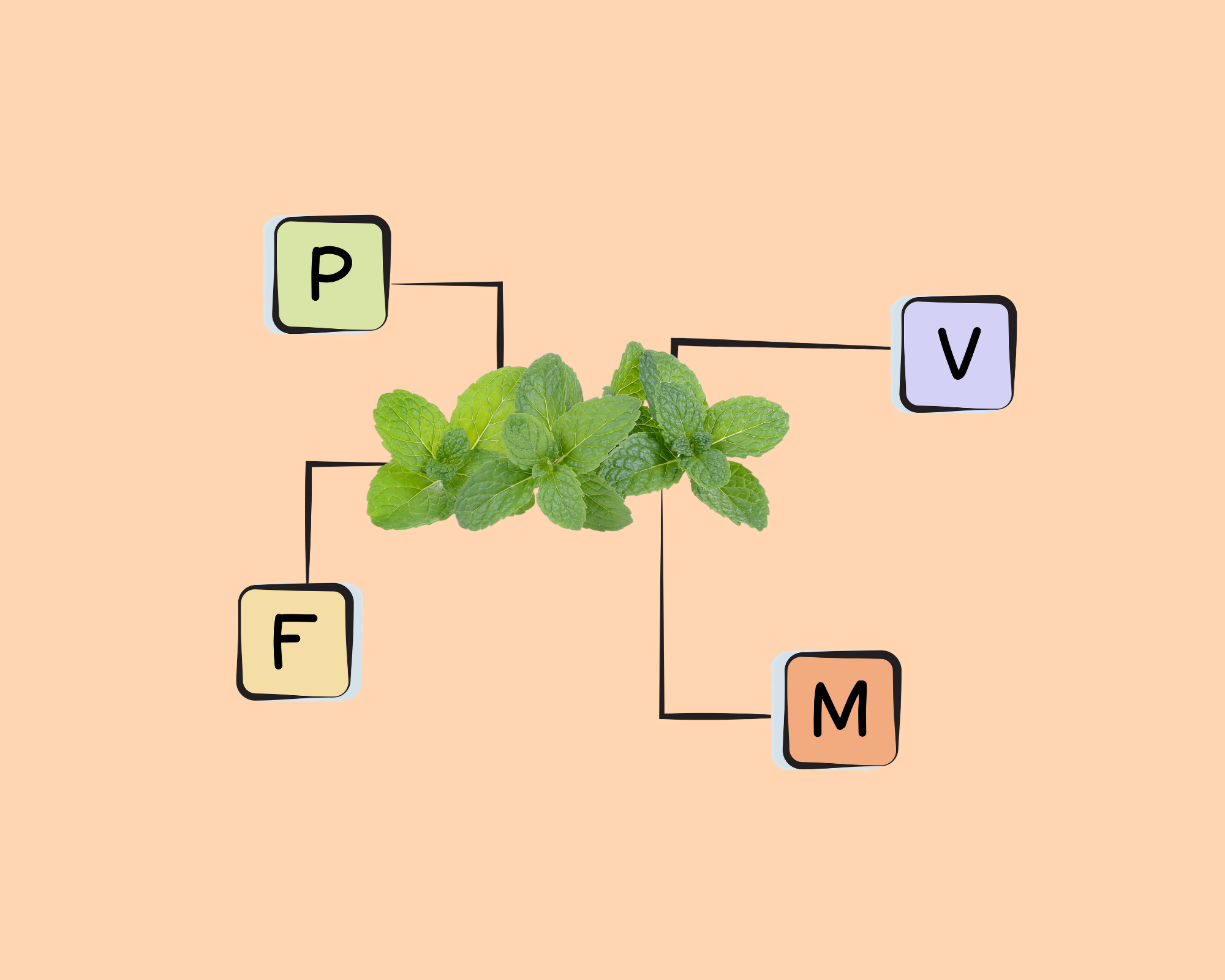 Peppermint Nutrients