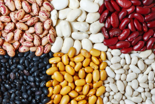 Legumes