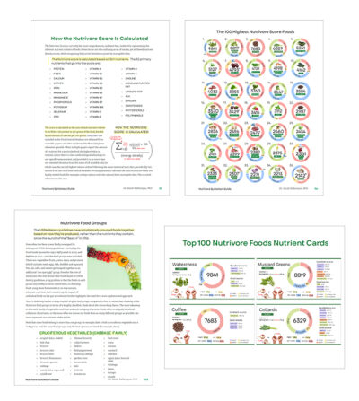 Nutrivore Quickstart Guide E-Book - Nutrivore