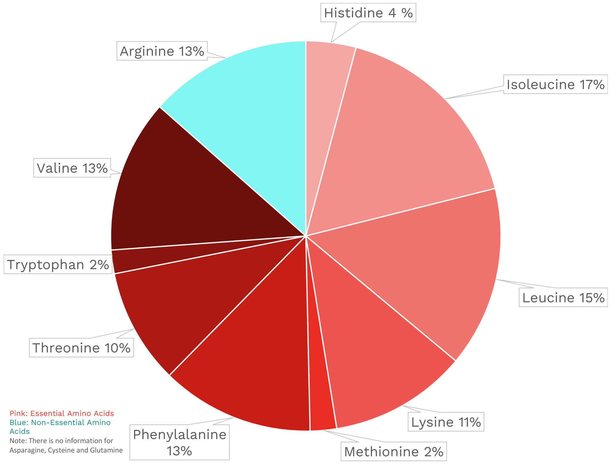 Rainbow Chard Nutrients