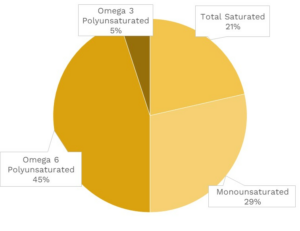 Rainbow Chard Nutrients