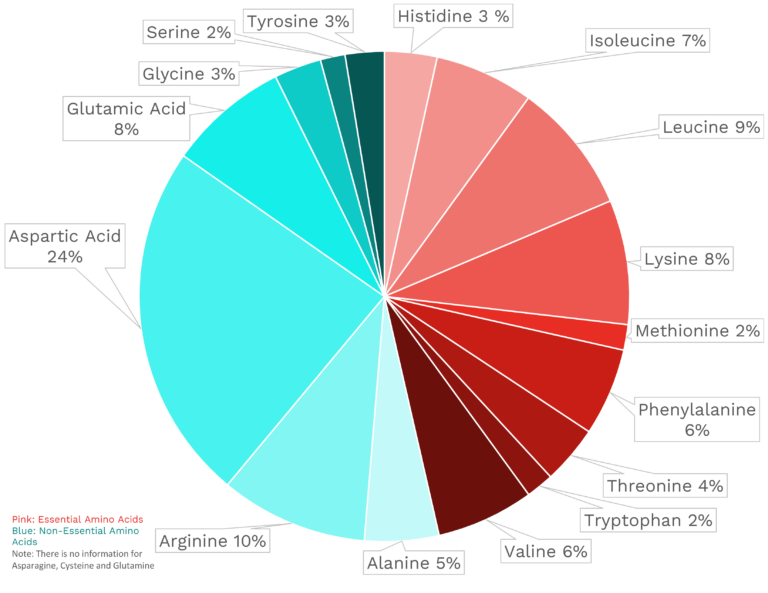 Mung Bean Sprout Nutrients