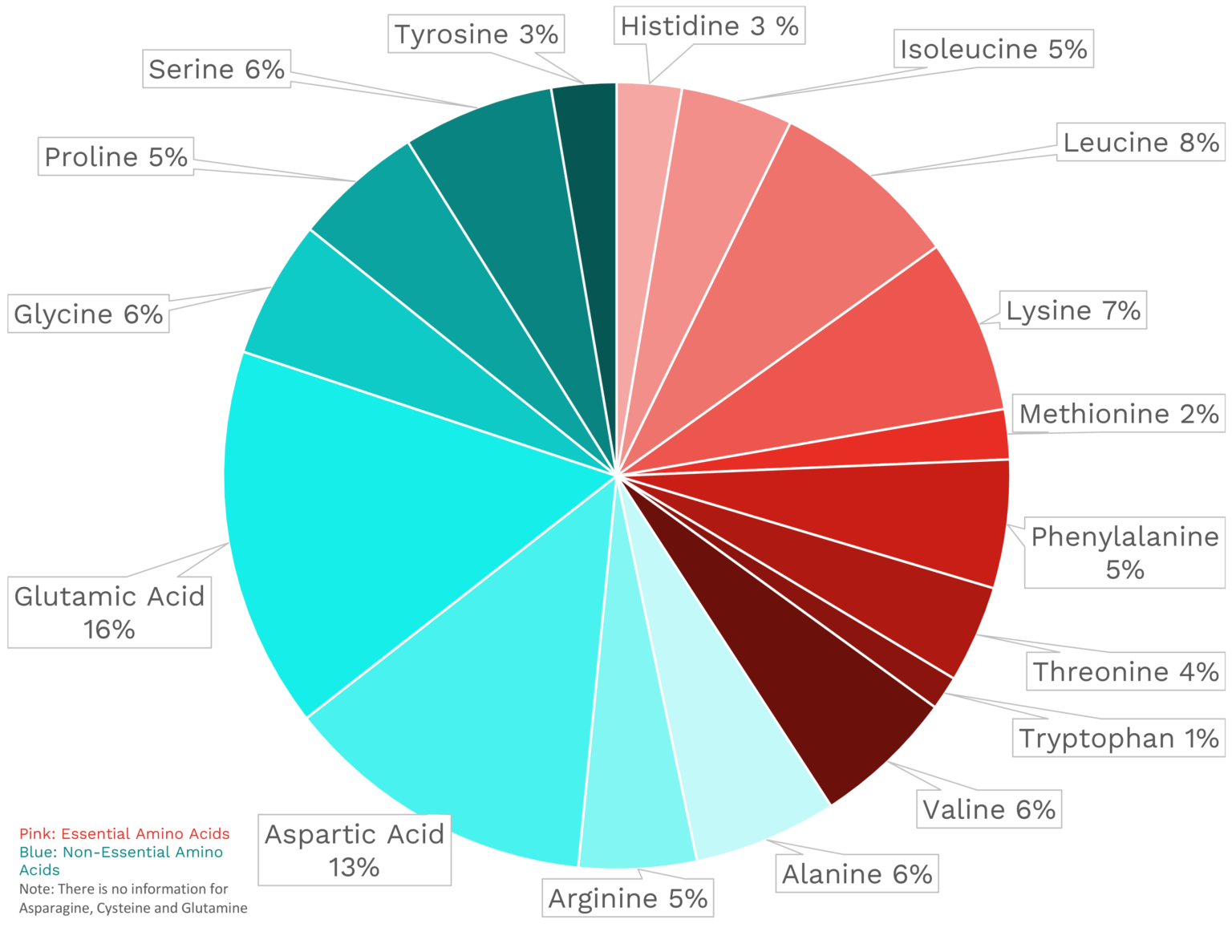 California Avocado Nutrients