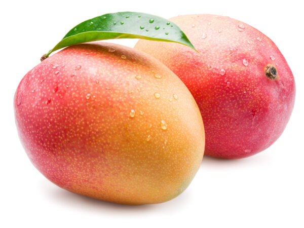 Mango Nutrients
