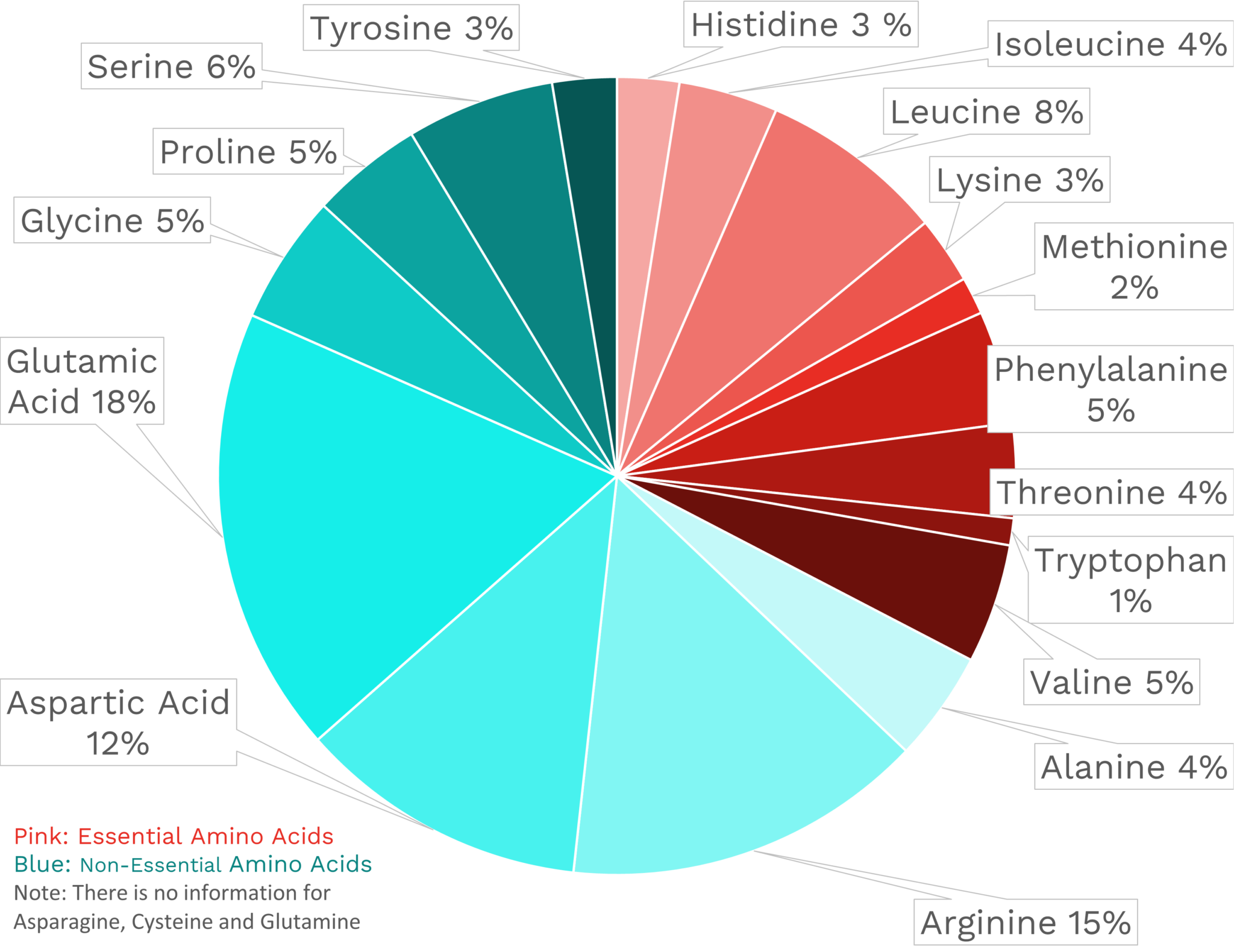 Walnut Nutrients