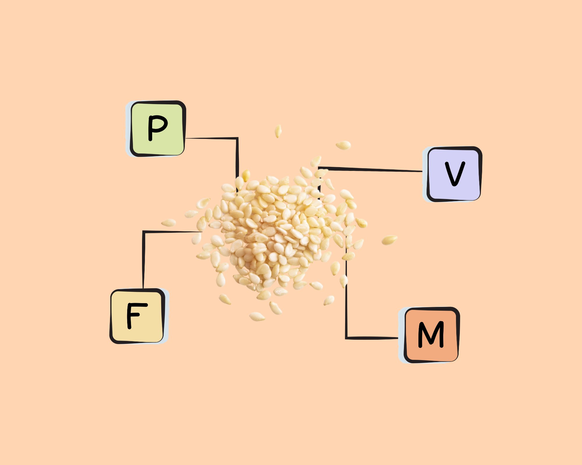 Sesame Seed Nutrients
