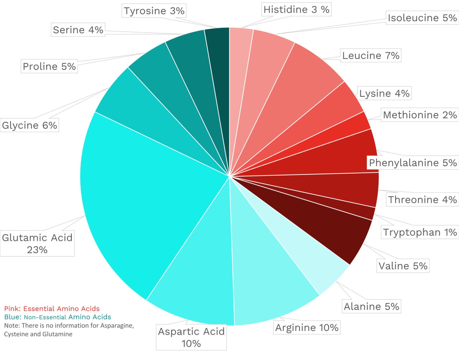 Sunflower Seed Nutrients