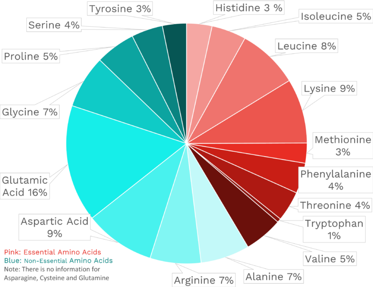 Ground Beef Nutrients