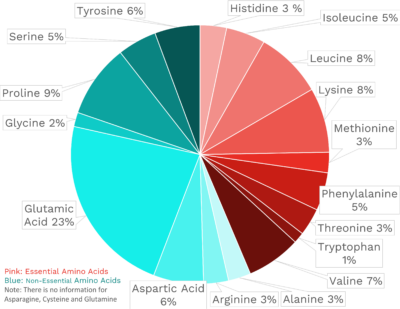 Blue Cheese Nutrients