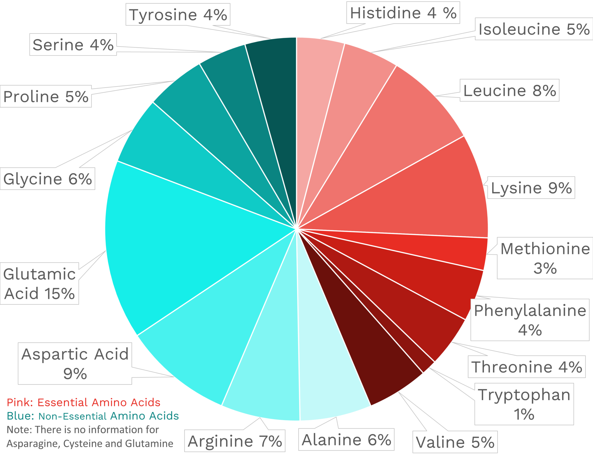 Ground Pork Nutrients