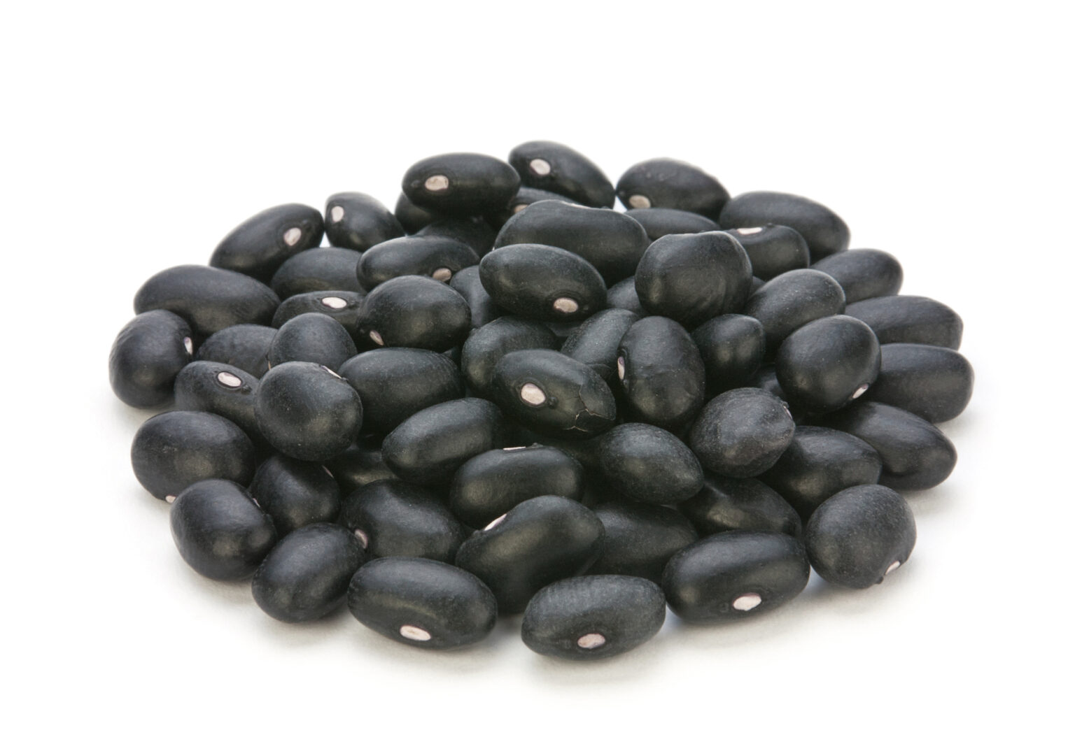Black Bean Nutrients