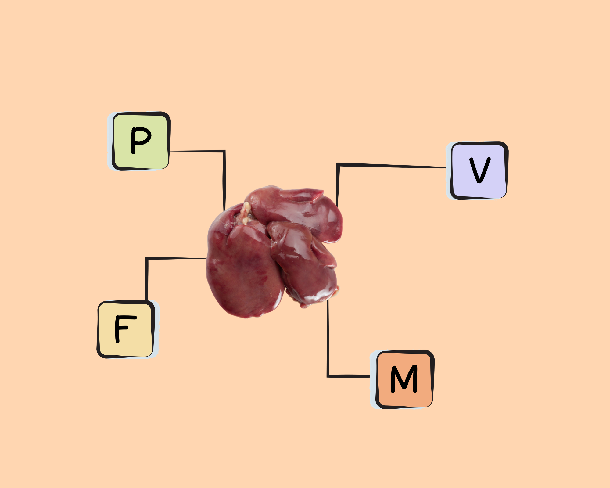 Chicken Liver Nutrients