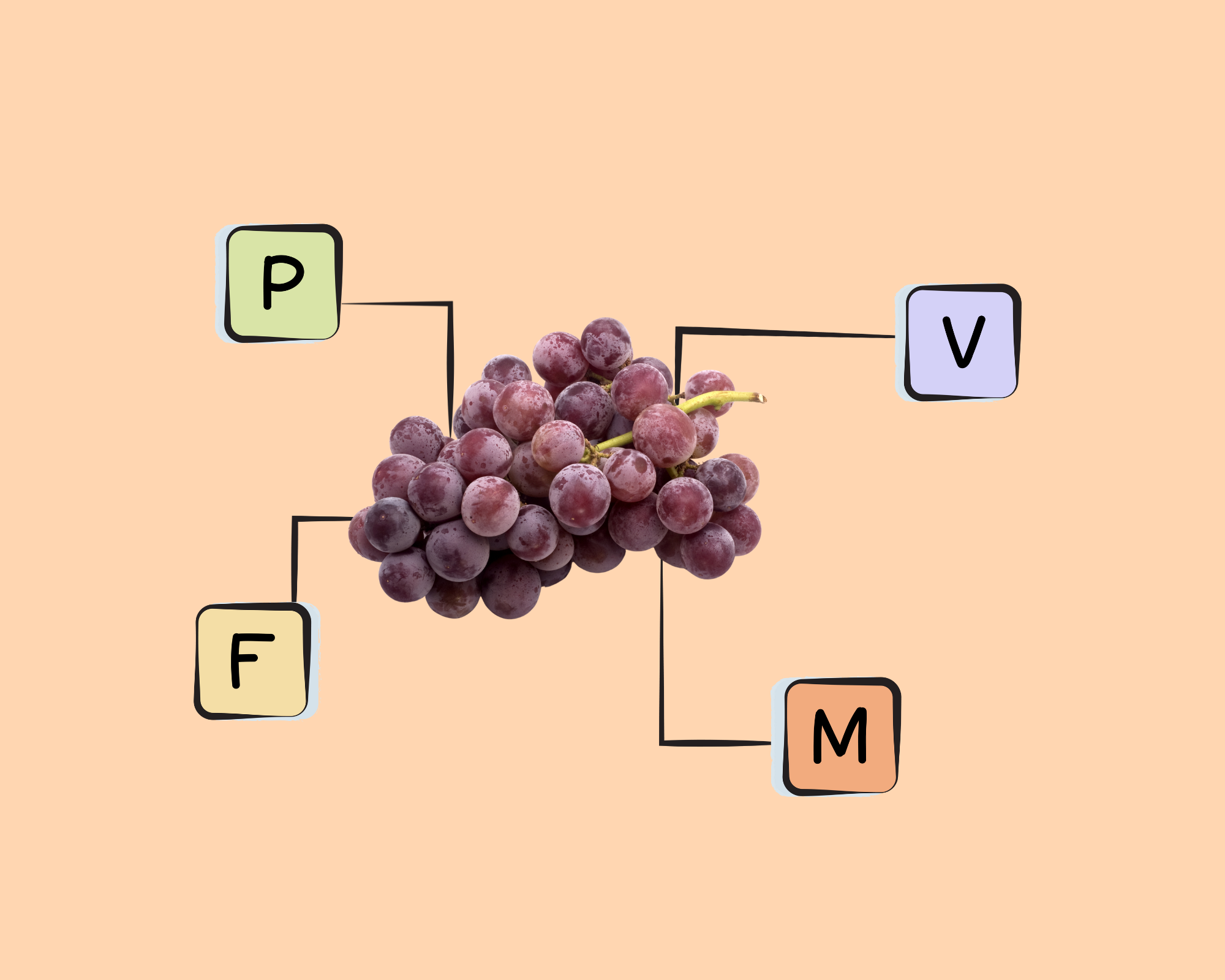 One Serving Of Purple Grapes