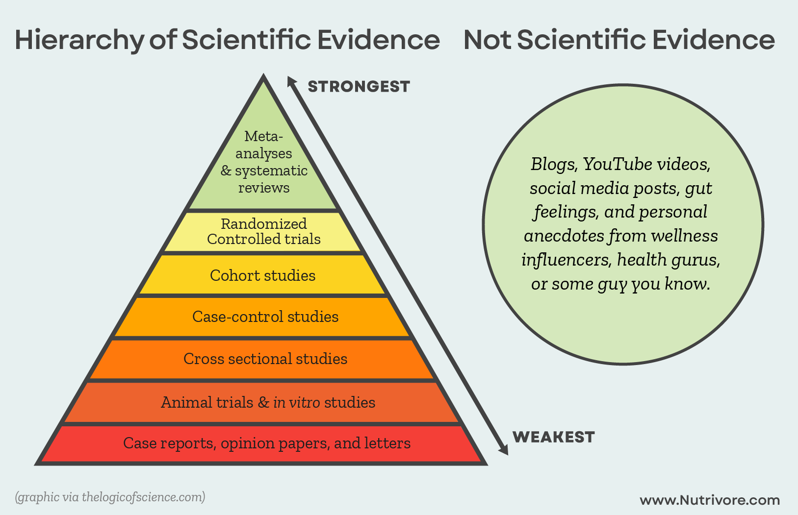 Myth: Vegetable Oils Are Bad for You