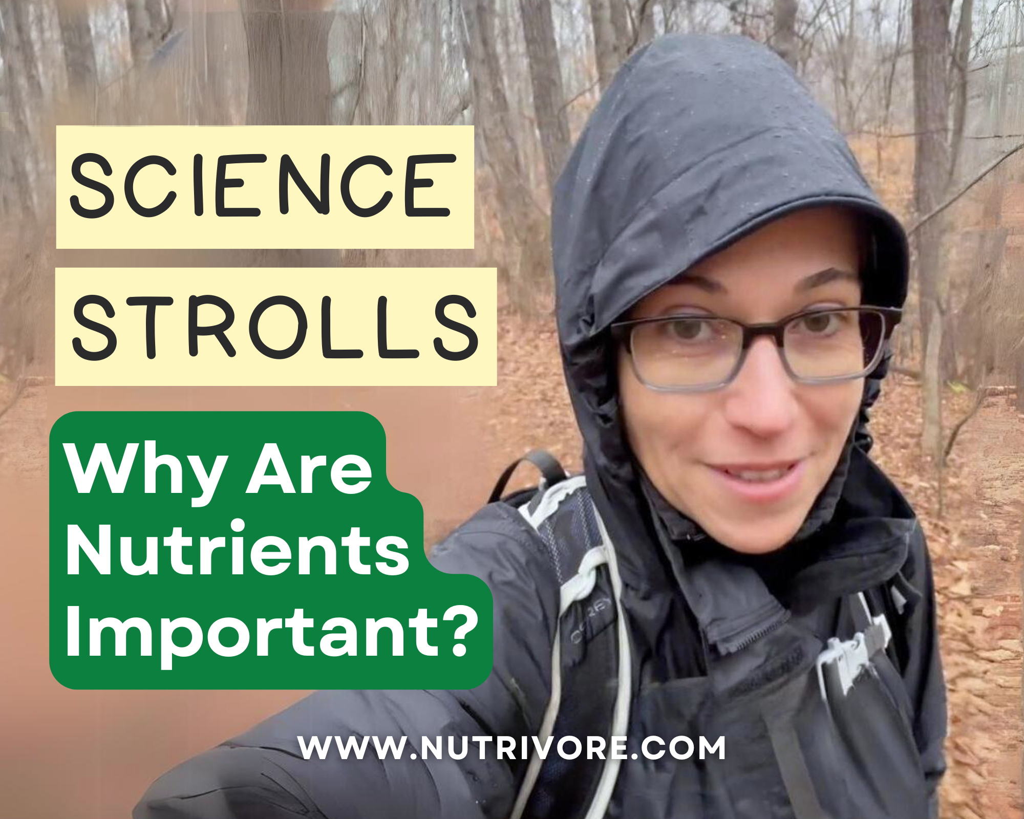 Why Are Nutrients Important?