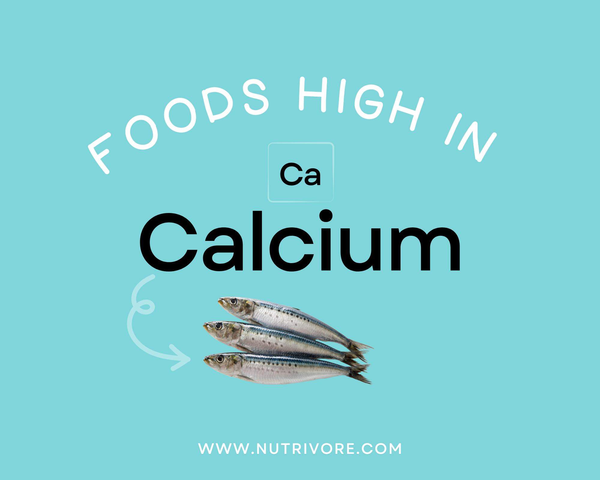 Foods High in Calcium
