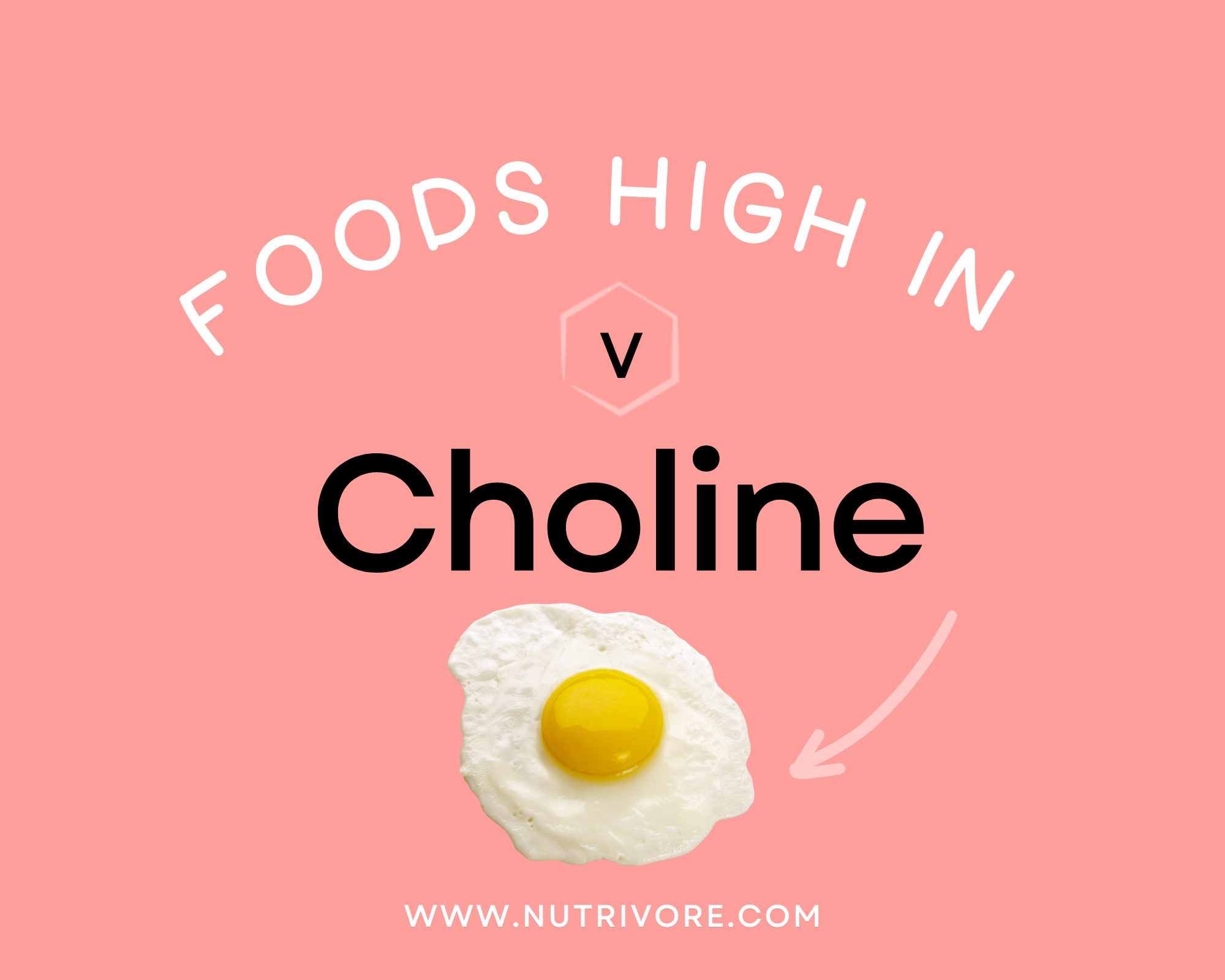 Foods High in Choline