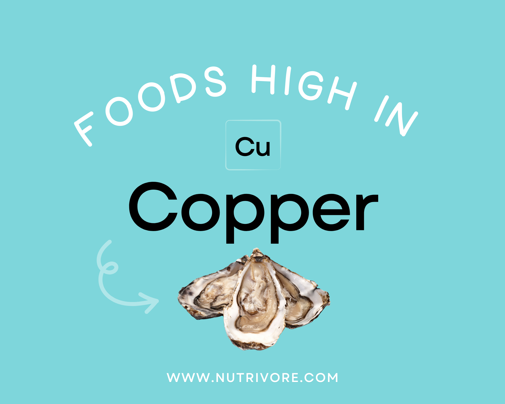 Foods High in Copper