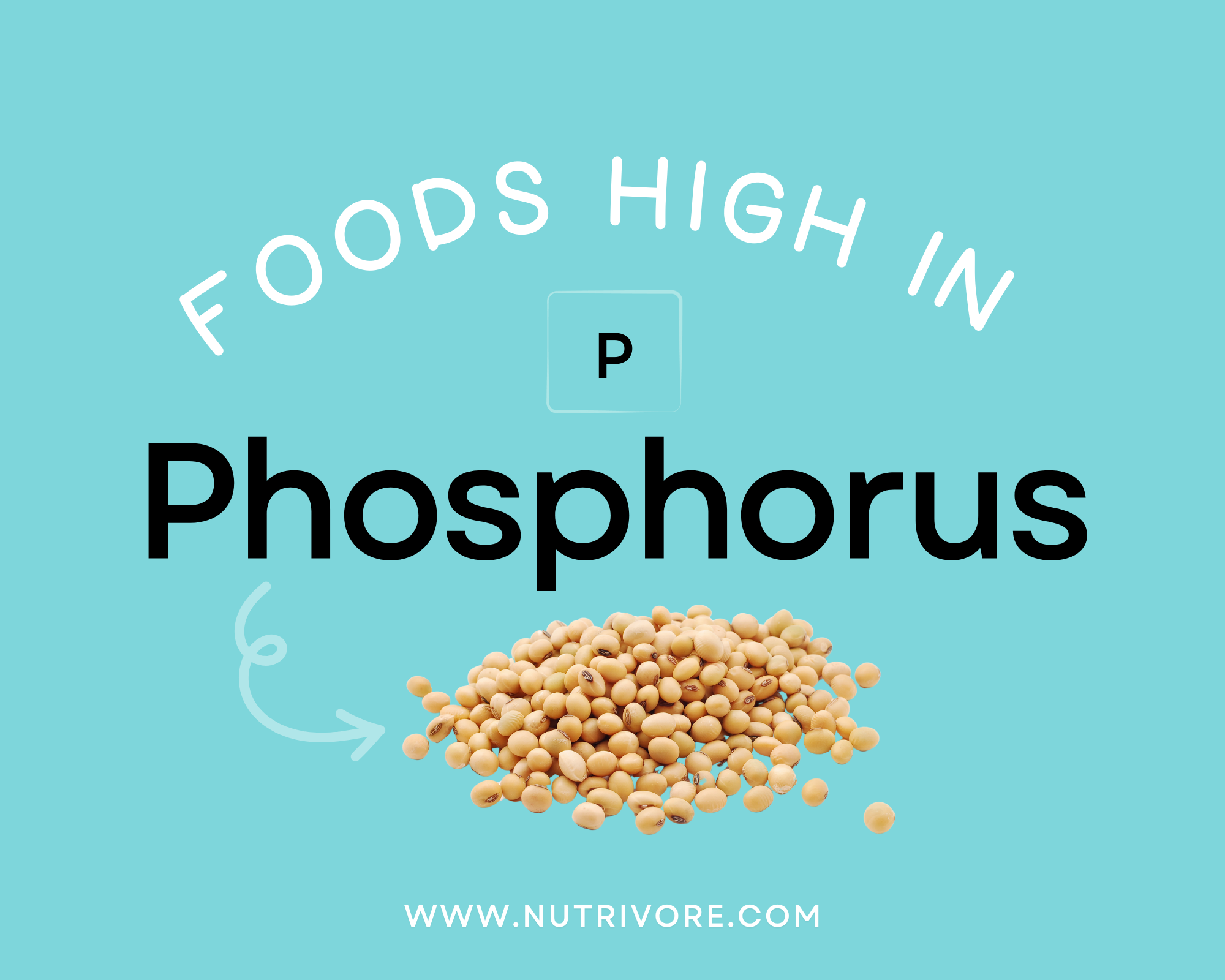 Foods High in Phosphorus
