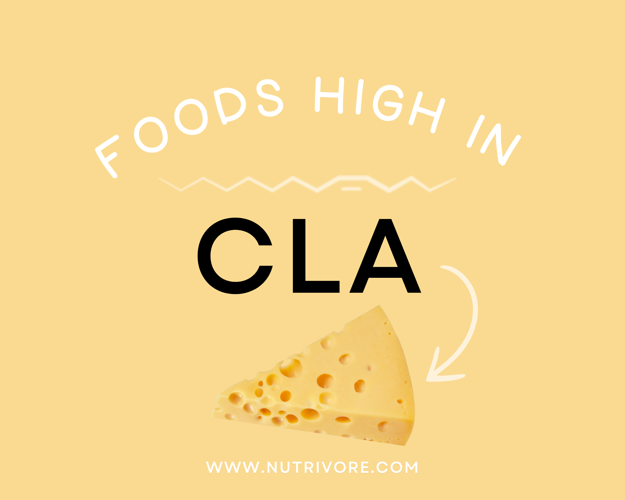 Foods High in Conjugated Linoleic Acid (CLA)