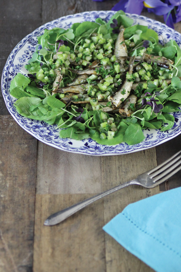 Sardine Salad