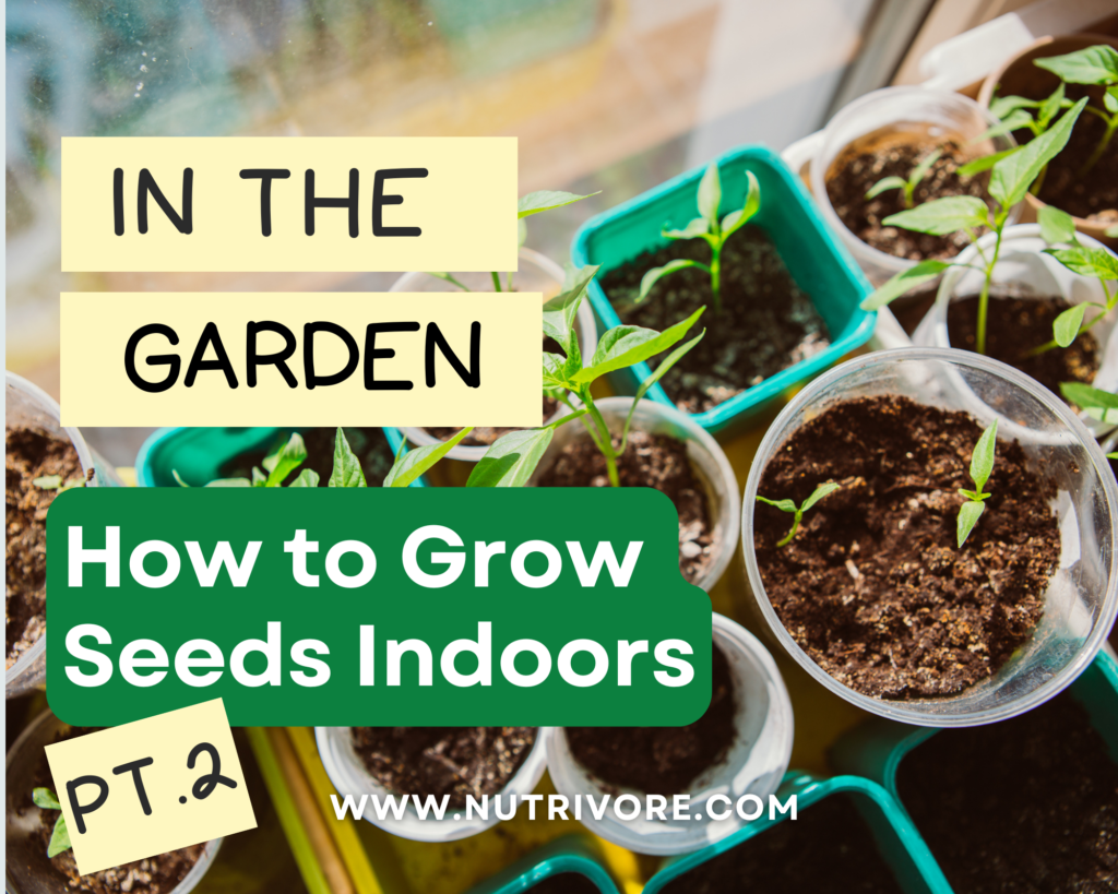 How to Grow Seeds Indoors-Planting Method