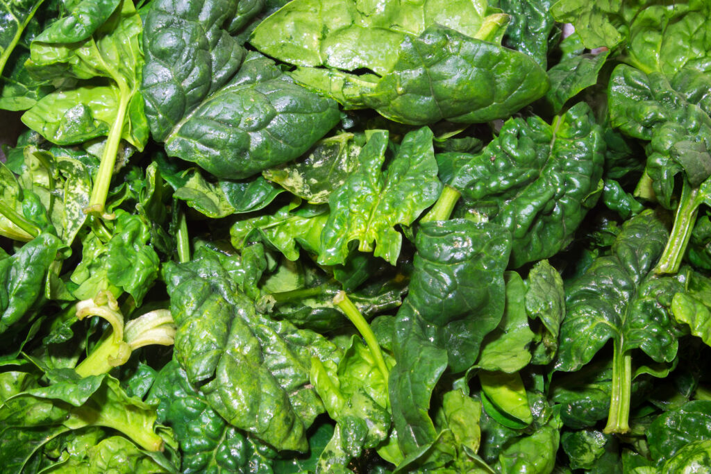 How To Grow Spinach
