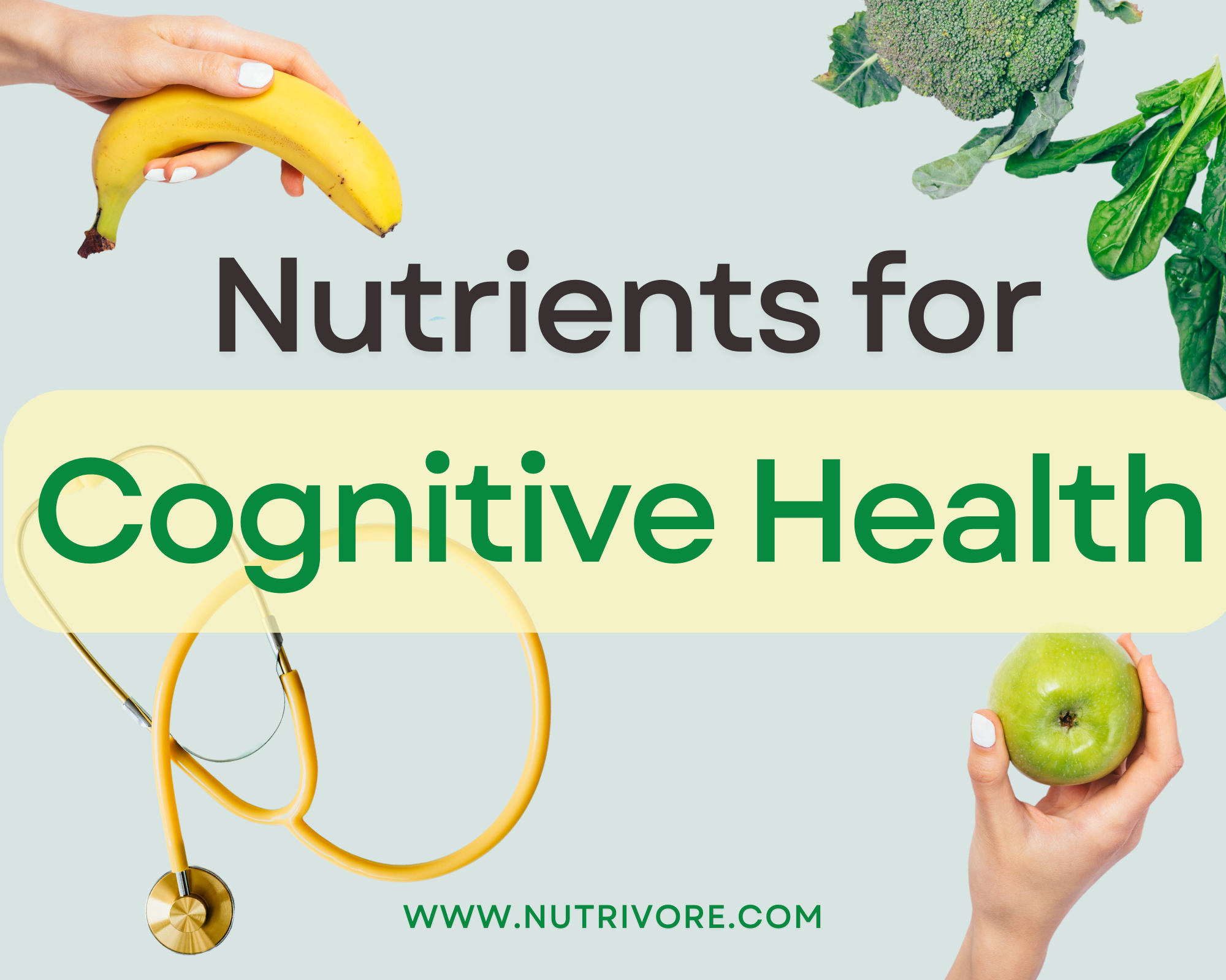 Nutrients for Cognitive Health