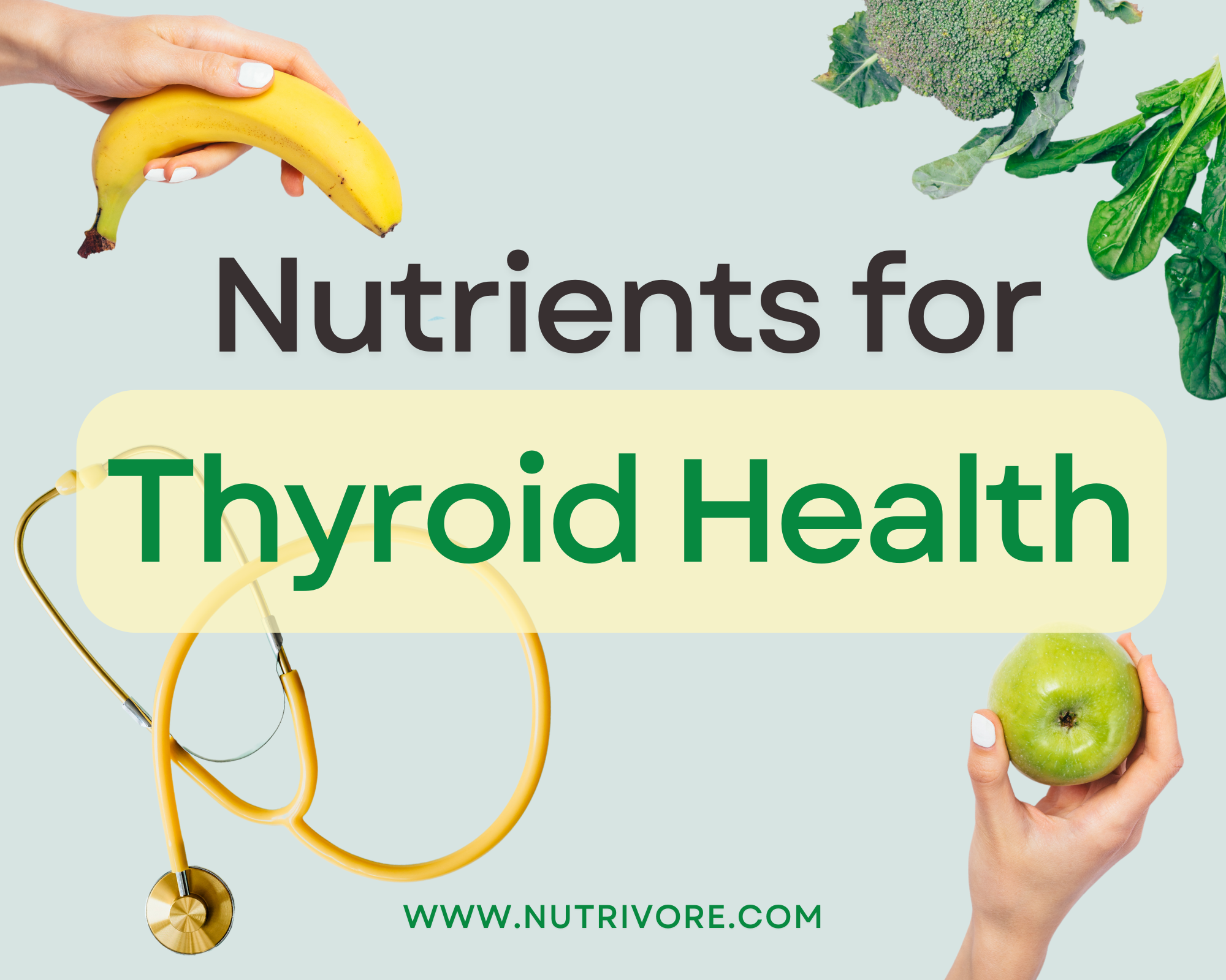 Nutrients for Thyroid Health